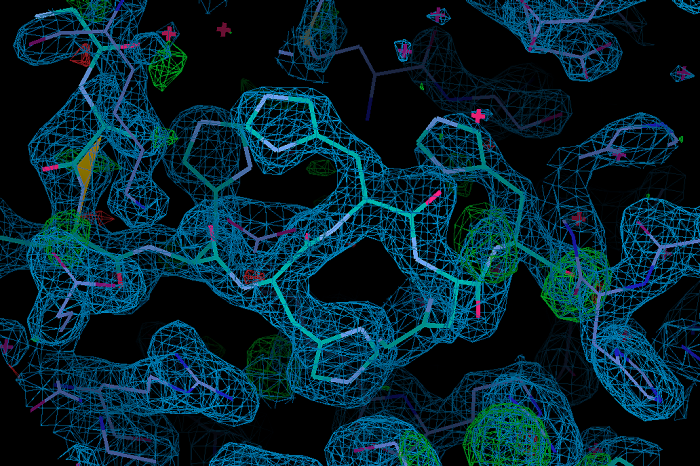Structural Biology Facility